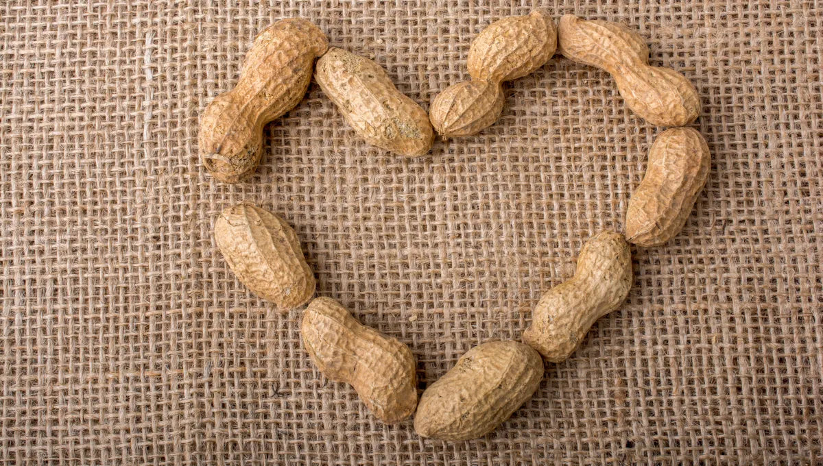 Groundnut Oil Benefits: Why are Indians Making the Switch? – Gyros ...